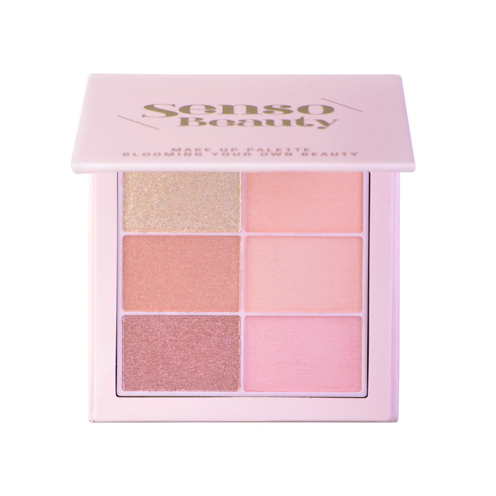 6 Shades Blush & Highlighter Makeup Palette – TJ Enterprise